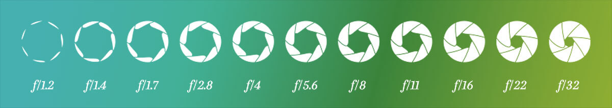 Bridge camera review & comparison 2025 | FinalCheck